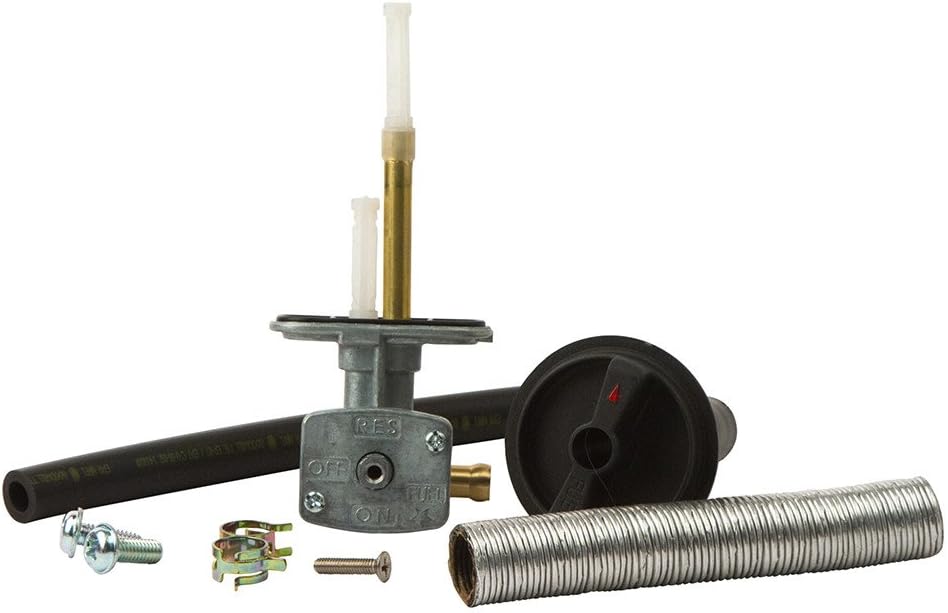 Amazon.com: Fuel Star FS101-0041 Fuel Valve Kit : Automotive