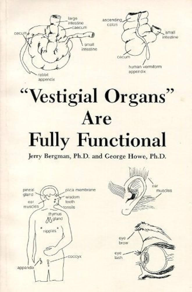 Human Vestigial Organs List