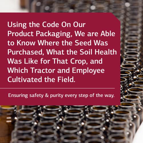 The 30 Best Folic Acid Vitamin Supplements of 2025 [Verified] - Cherry ...