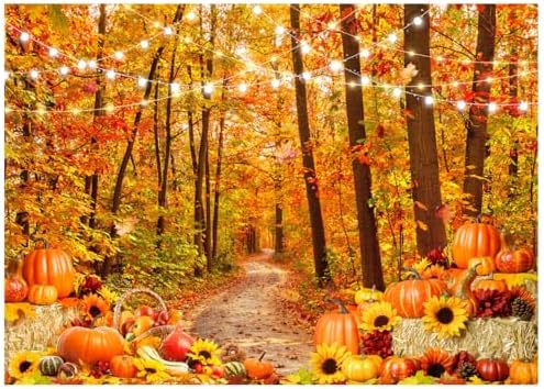 Amazon.com : BINQOO 7x5ft Autumn Window Backdrop Thanksgiving Backdrop ...