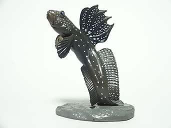 Amazon.co.jp: Eugene Primary Color Picture Book Series Primary Color ...