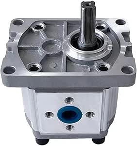 Amazon.com: FPBIGCHA Hydraulic Gear Pump CBN/CBT/CBW304 306 310 314 316 ...