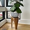 Amazon.com: Rutledge & King Java Teak Root Stool - Wooden Boho Side Table - Tree Stump ...