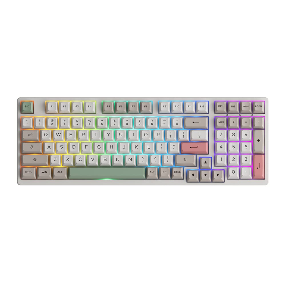 Buy Akko 9009 3098 98-Key RGB Hot-swappable Mechanical Gaming Keyboard ...