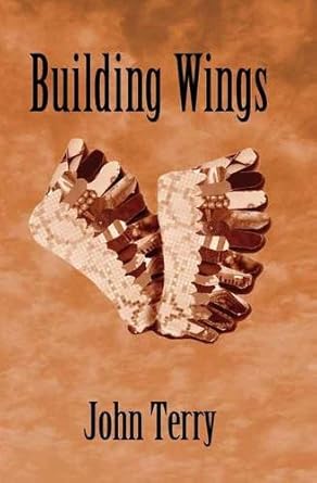 Building Wings: Terry, John: 9780955118050: Amazon.com: Books