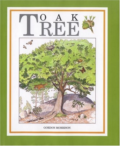 Oak Tree: Morrison, Gordon: 9780395956441: Amazon.com: Books