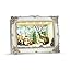 Amazon.com: Mr. Christmas 90th Anniversary Gold Resin Frame Shadow Box ...