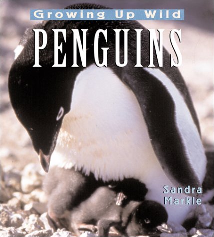 Penguins: Growing Up Wild: Markle, Sandra: 9780689818875: Amazon.com: Books