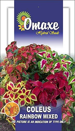 Garden Care Coleus Rainbow Kitchen Garden Packet Mixed Flower Seeds ...