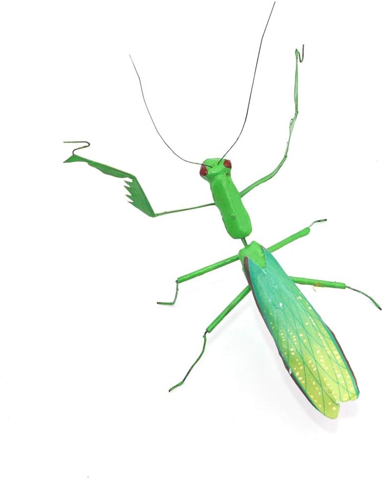 Namvo 5Pieces Insects Bugs Action Figure Playset – Educational Insect ...