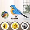 Amazon.com: Doefo Electric Singing and Chirping Bird Toy, Interactive ...