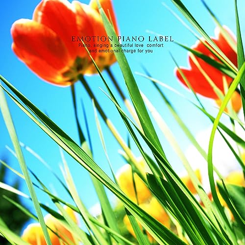 Play Emotional piano with beautiful melody that helps to study by ...