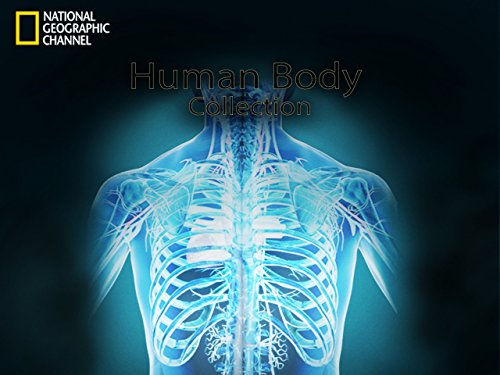 Real Human Bones - Natural Human Finger Bone | Styles Daddy