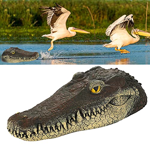 Top 10 Best Duck Deterrent For Pool : Reviews & Buying Guide - Katynel