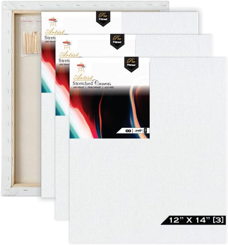 Variety Canvas 9 x 12 Inch 2 Piece Pre Stretched Canvas Board for ...