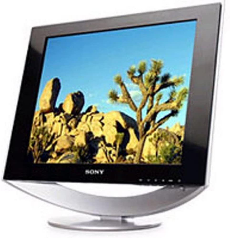 Amazon.com: Sony SDM-HS93/B Flat Panel 19" LCD Monitor (Black ...