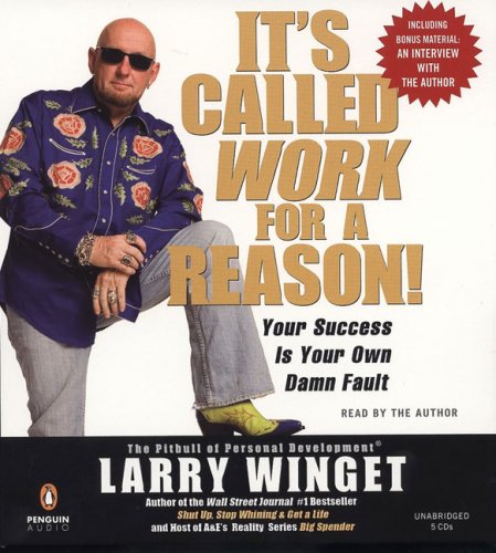 It's Called Work For a Reason!: Your Success Is Your Own Damn Fault ...