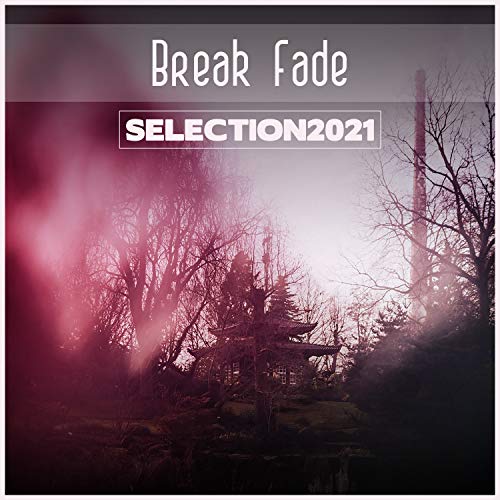 Écouter Break Fade Selection 2021 par VARIOUS ARTISTS sur Amazon Music ...