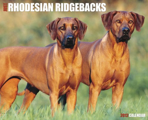Rhodesian Ridgebacks 2012 Calendar: Willowcreek: 0709786020478: Amazon ...