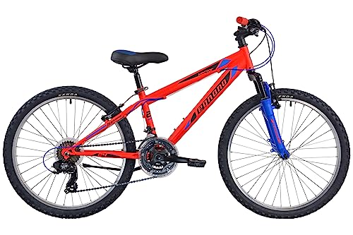 Bici 24 Pollici – I 15 migliori prodotti a confronto - Centro Diurno Guida