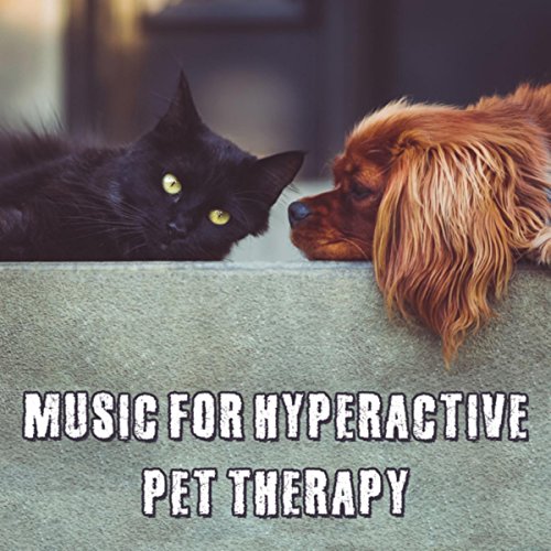 Amazon.com: Music for Hyperactive Pet Therapy, Zen Relaxed Dog, Happy ...
