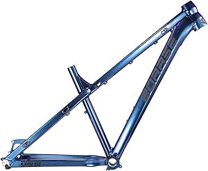 Amazon.com: BSFHQS Dirt Jump Bike Disc Brake Frames 26er*15" 27.5er*17 ...