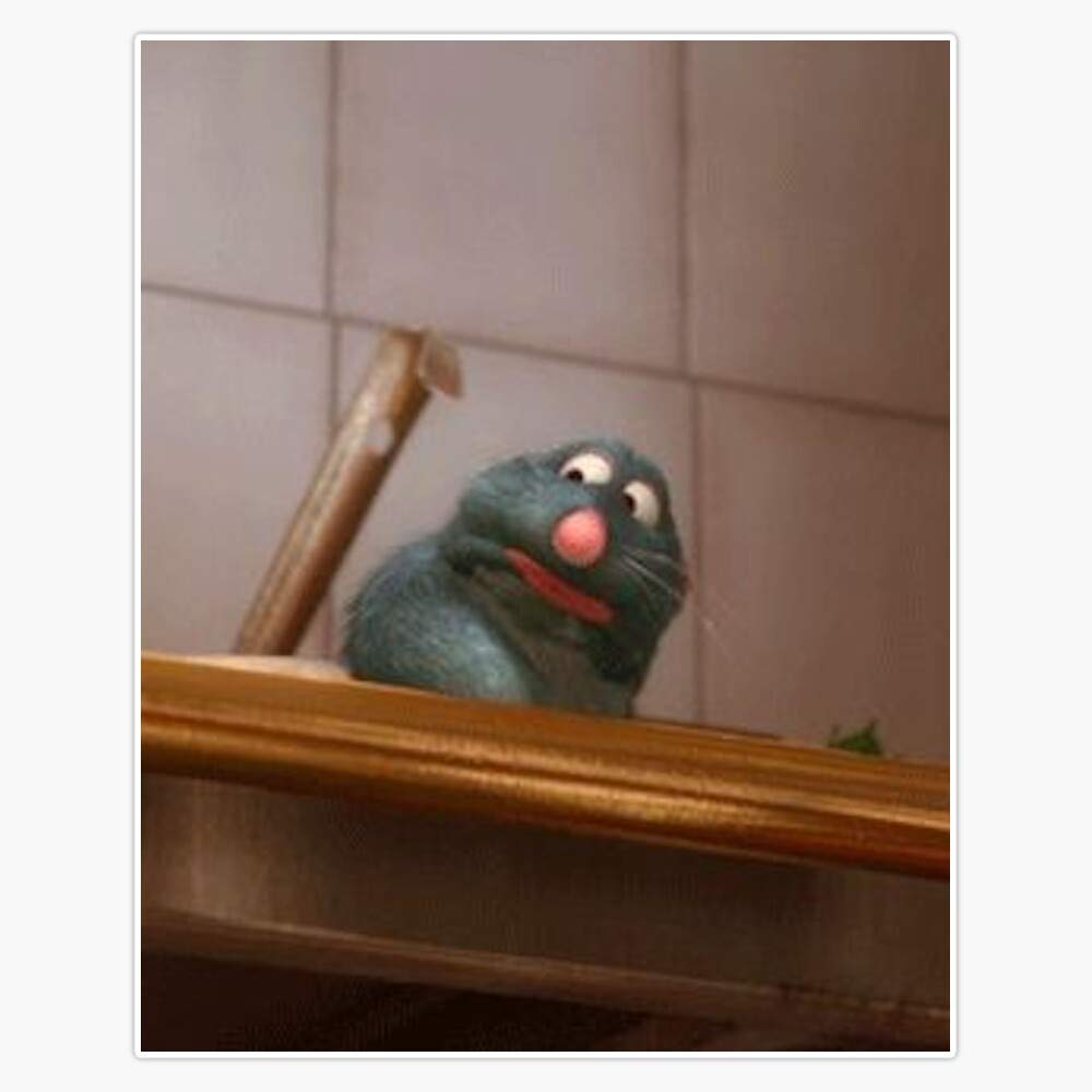 Amazon.com: Ratatouille Sticker Vinyl Bumper Sticker Decal Waterproof 5" : Automotive