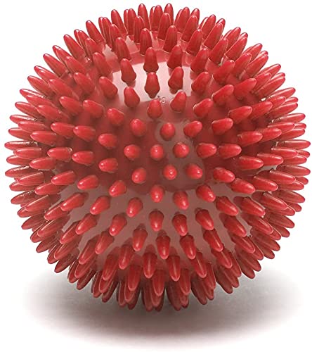 Spike Massage Ball for (9 Inch) Health and Yoga Spongy Reflex for ...