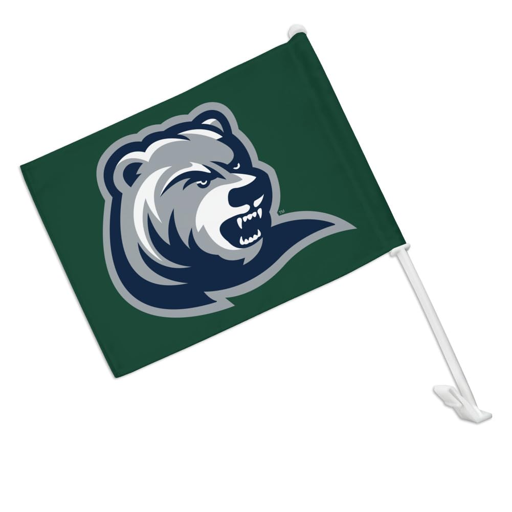 Georgia Southwestern Logo Georgia Southwestern State Hurricanes Flag