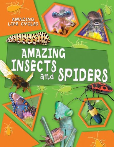 Amazing Insects and Spiders (Amazing Life Cycles): McGavin, George C ...