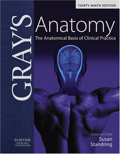 Buy Gray's Anatomy: The Anatomical Basis of Clinical Practice Book ...
