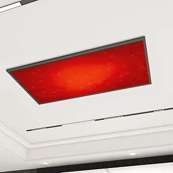 AFWADFWA Decorative Fluorescent Light Covers for Ceiling Lights ...