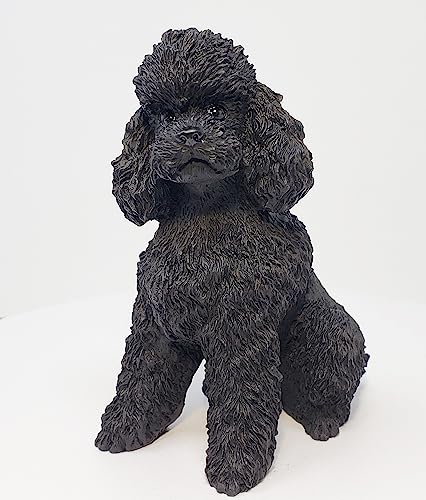 10 Must-Have Products for Your Black Poodle Terrier Mix: A ...