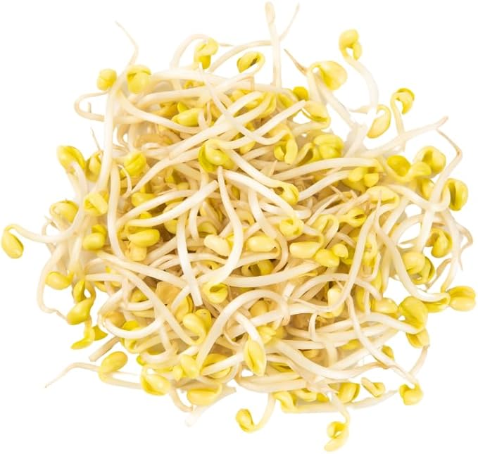 Beans Sprout 4kg : Amazon.co.uk: Grocery