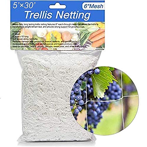 Buy Toolazy 5 x 30ft Trellis Netting, Heavy-Duty Polyester Garden ...