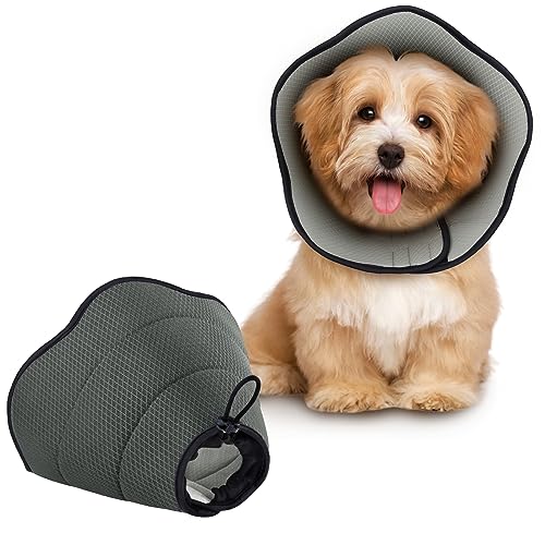 Find The Best Soft Cone For Dogs Reviews & Comparison - Katynel