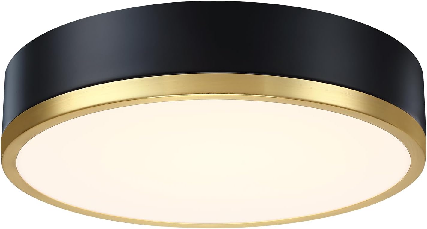 Canarm Rexton 2-Light Flush Mount Ceiling Light, Matte Black & Gold ...