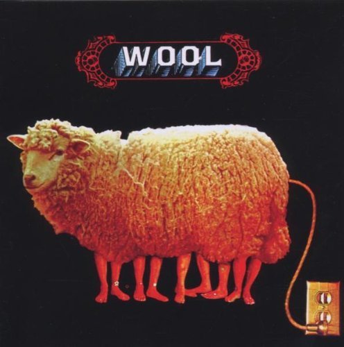 Wool by Wool Import edition (2006) Audio CD - Amazon.com Music