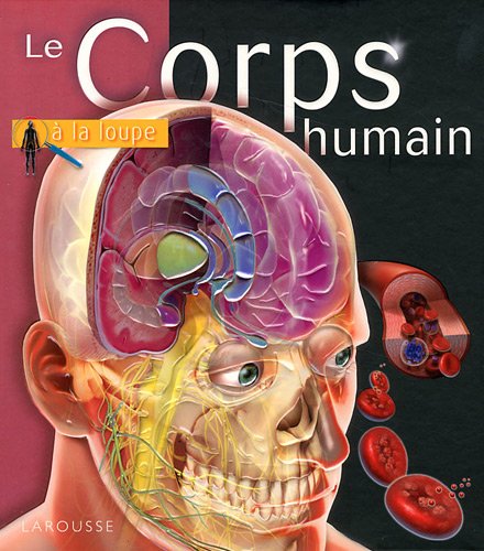Le corps humain: Amazon.co.uk: Calabresi, Linda: 9782035869951: Books