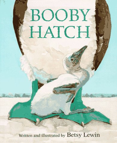 Booby Hatch: Lewin, Betsy: 9780395687031: Amazon.com: Books