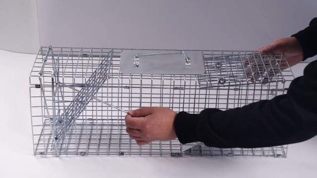 Watch Animal Traps cat Trap Live Traps on Amazon Live