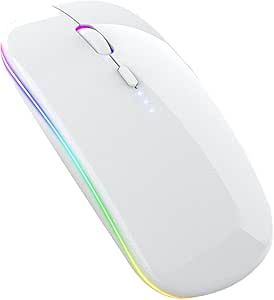 Amazon.com: Generic 2.4G+BT5.2 Cordless Bluetooth Mouse, Wireless ...