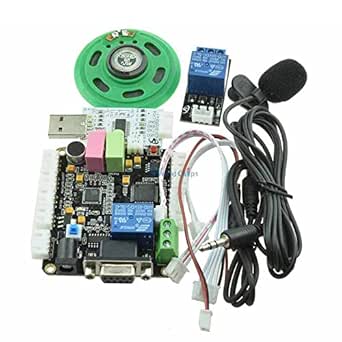 Amazon.com: 1 Set Speech Recognition Module Voice Module Non Specific ...