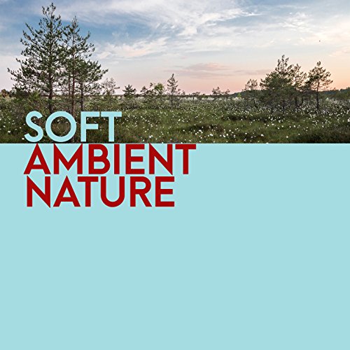 Play Soft Ambient Nature by Ambiance Nature on Amazon Music