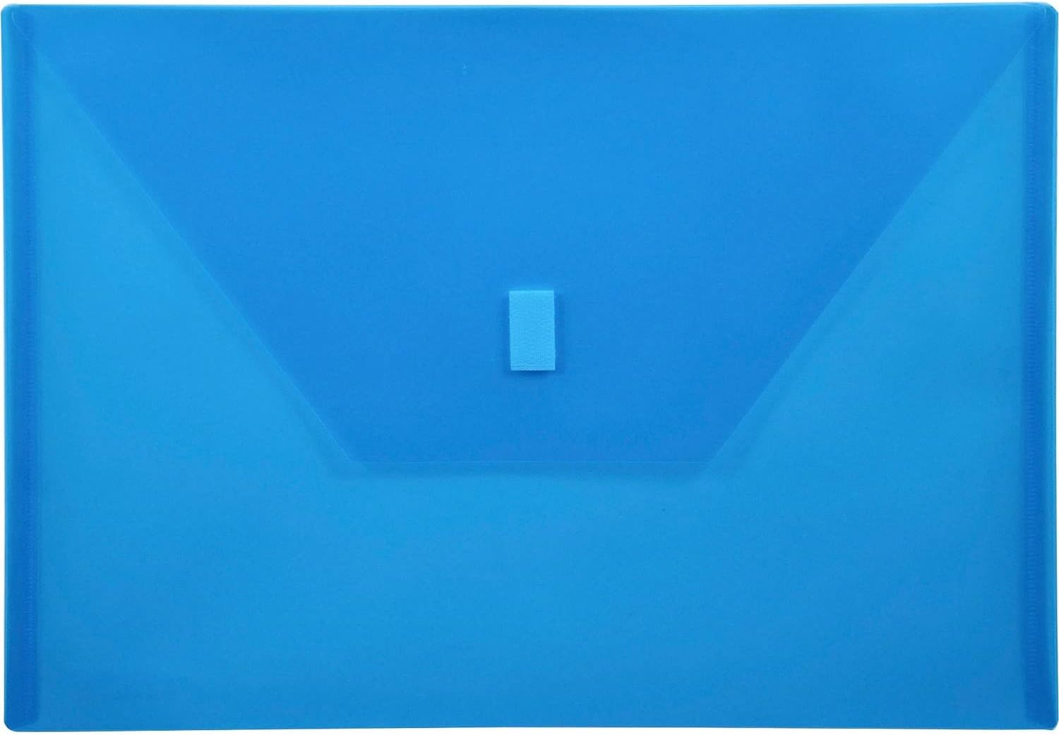 Amazon.com : Lion Design-R-Line Poly Envelope, 9-3/8 x 13 Inches ...