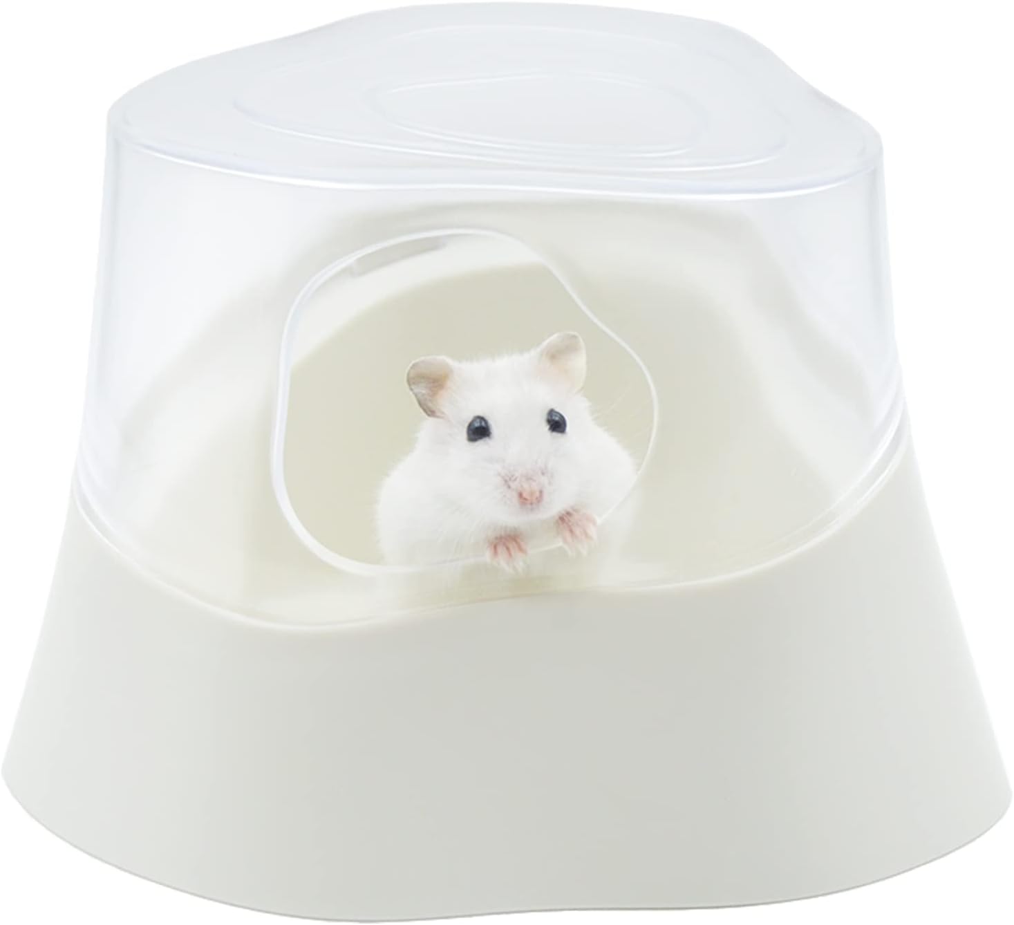 Amazon.com : SanmooAio Hamster Sand Bath Container,Hamster Digging Box ...