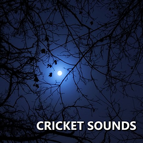 Amazon.com: Cricket Sounds : Cricket Sounds: Digital Music