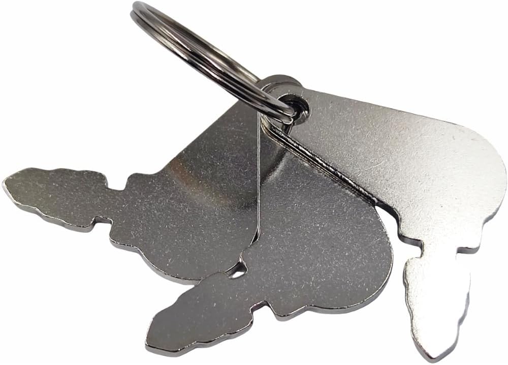 Amazon.com: SPJIUQI 3Pcs 192922M1 83353 R30074 B17575 70306 Ignition ...