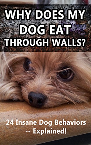 Why Do Dogs Eat Walls