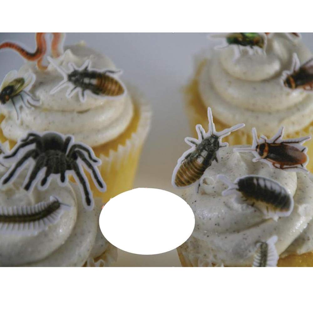 Amazon.com: CHOCKACAKE 70x Edible Wafer Paper Prank Fake Roaches ...